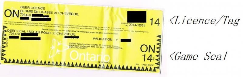 How The Ontario Deer Tag System Works