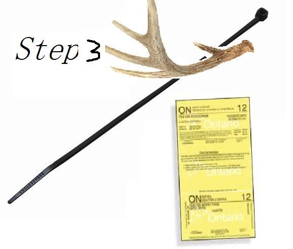 how-to-attach-deer-seal-page-2