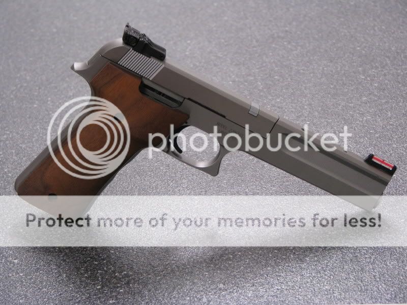 Fiber Optic Sight for S&W 2206/2206TGT | Rimfire Central Firearm Forum