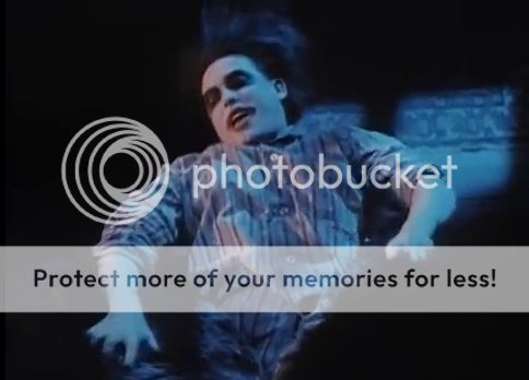 FARK.com: (8305068) So not only are fish-eating spiders a thing but ...