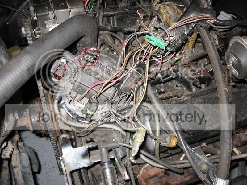 regal wiring | LayItLow.com Lowrider Forums