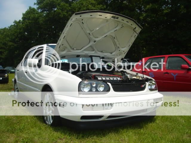 Bug'in Out! | VW Vortex - Volkswagen Forum