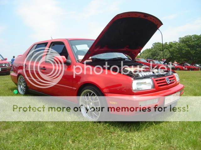 Bug'in Out! | VW Vortex - Volkswagen Forum