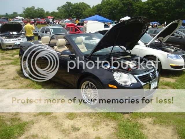 Bug'in Out! | VW Vortex - Volkswagen Forum