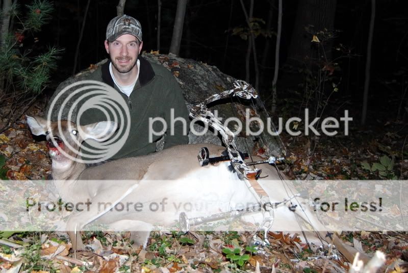 Doe working a scrape? | Archery Talk Forum