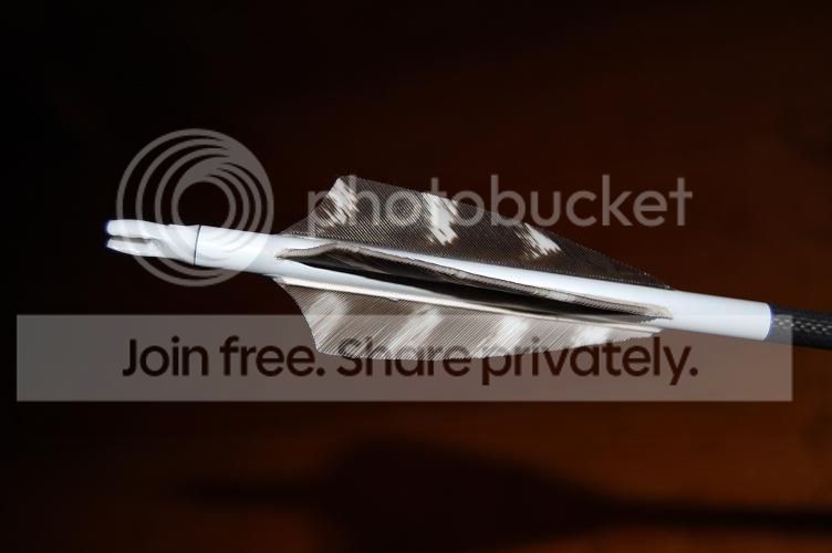 Best Feather Fletching I have ever used www.customfeathers.com ...